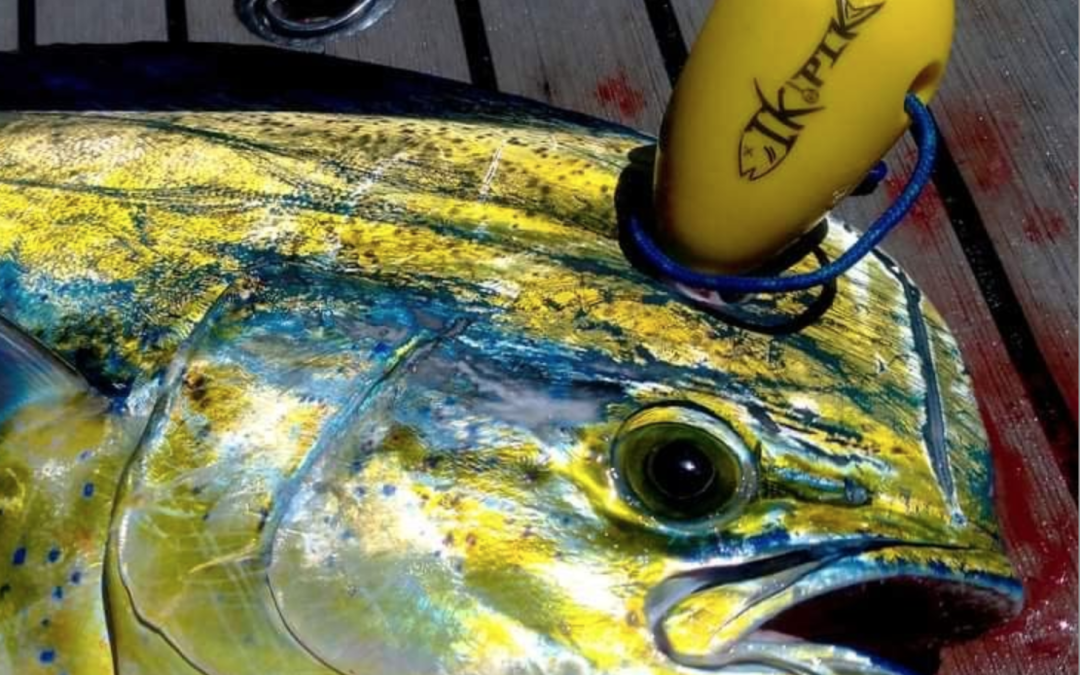 Projects | Fishotopia